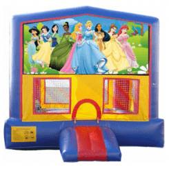 Princess and The Frog Bounce House | Clown Around Party Rentals