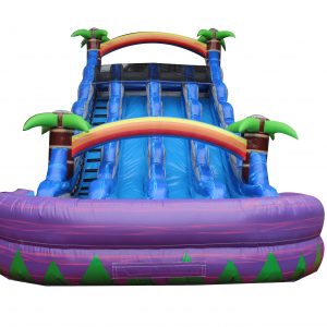 Water Slides | Triple Lane Water Slide | Inflatable Rentals