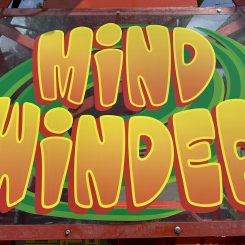 Carnival Swing Ride Rental DFW | Amusement Ride Rentals DFW