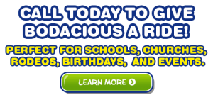 Bounce House Rental | Water Slide Rentals