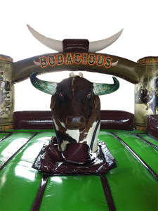 Bounce House Rental | Water Slide Rentals